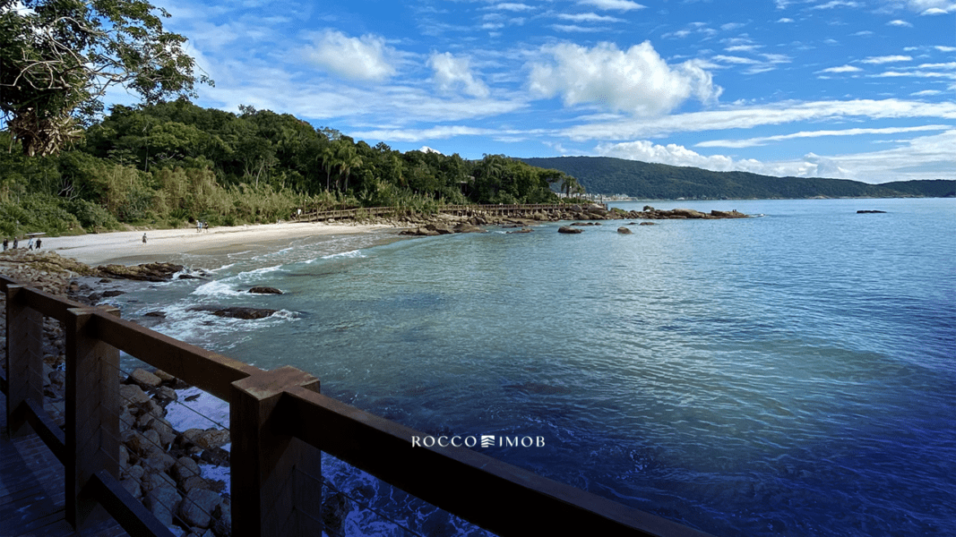 Praia do Ribeiro: Descubra o Paraíso Natural em Bombinhas | Roccoimob ...